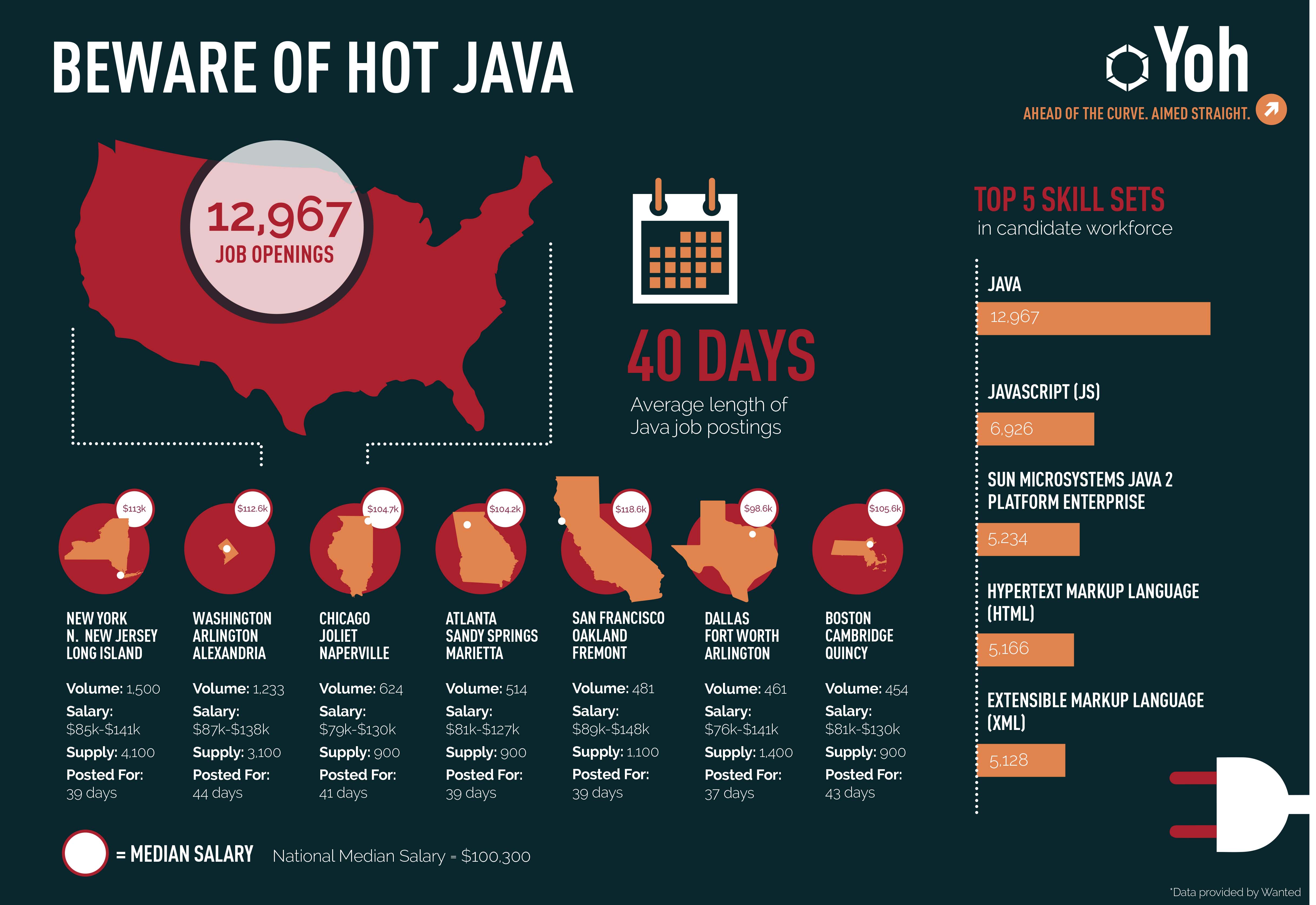Strategic IT Staffing Java Developers Infographic