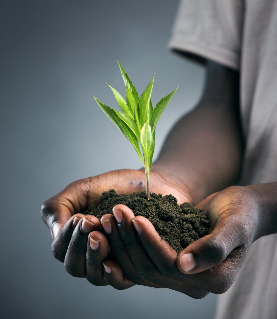 5 Strategies for Encouraging Employees to be Leaders