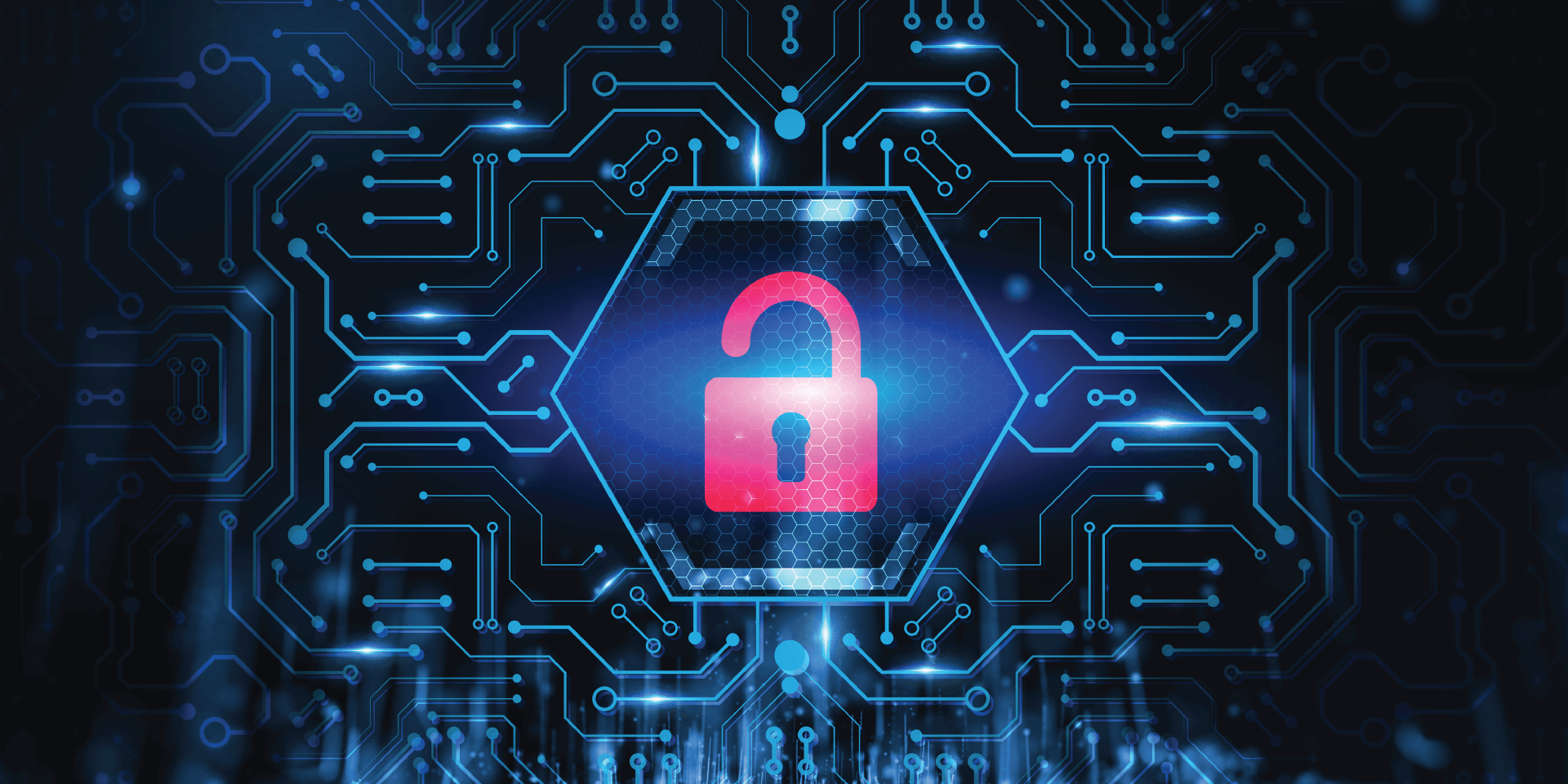 How to Avoid Phishing & Ransomware Attacks at Your Company